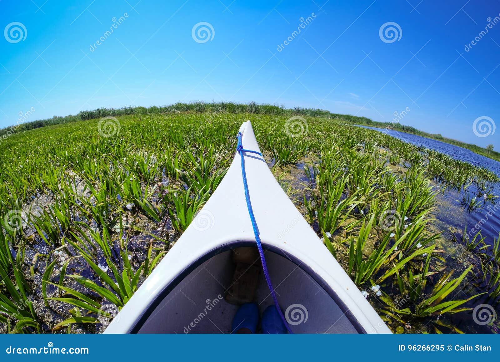 Visiting Danube Delta in a Canoe Stock Image - Image of dunarii ...