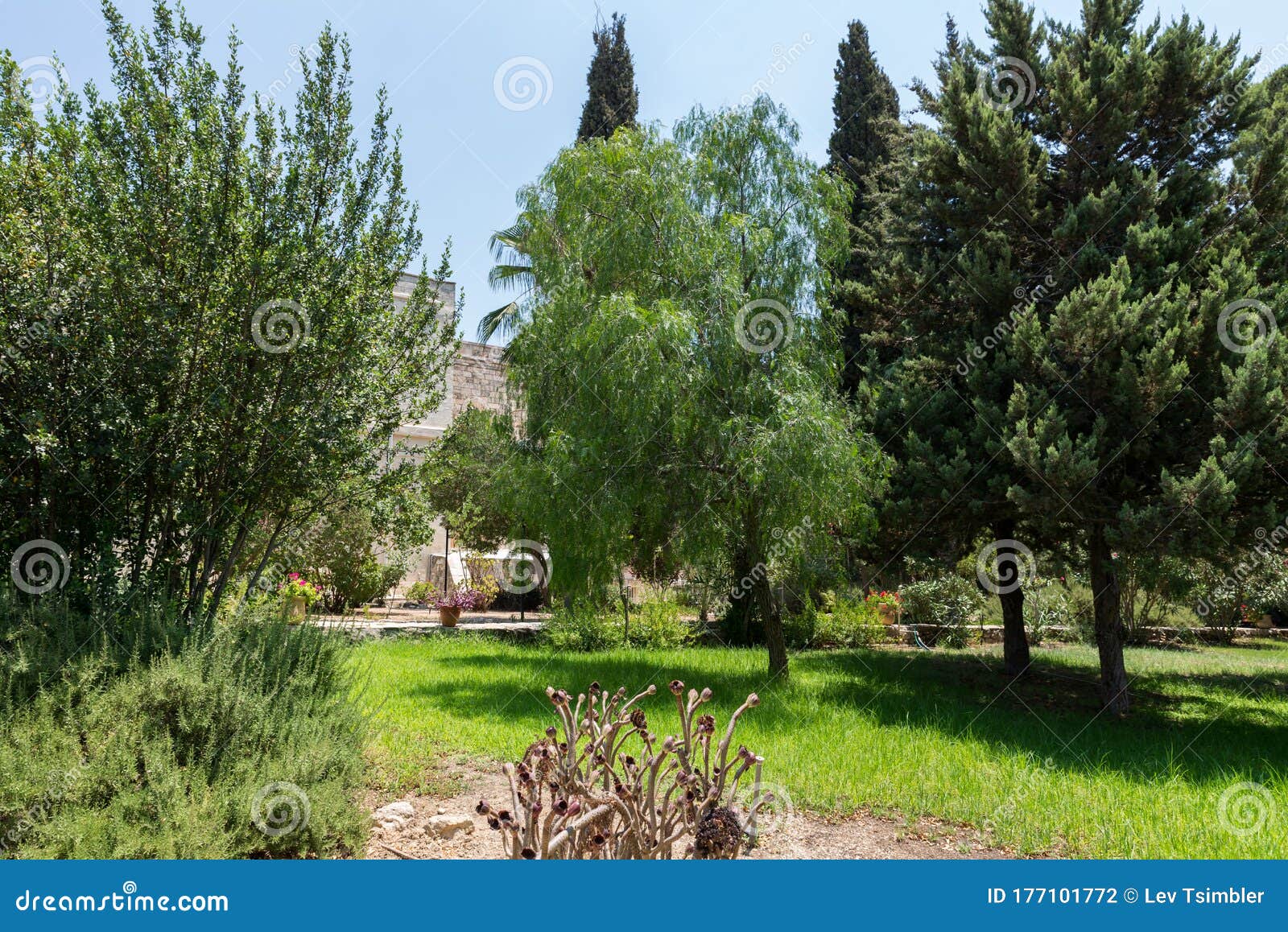 Visiting Ein Kerem in Jerusalem Stock Photo - Image of kerem, dame ...