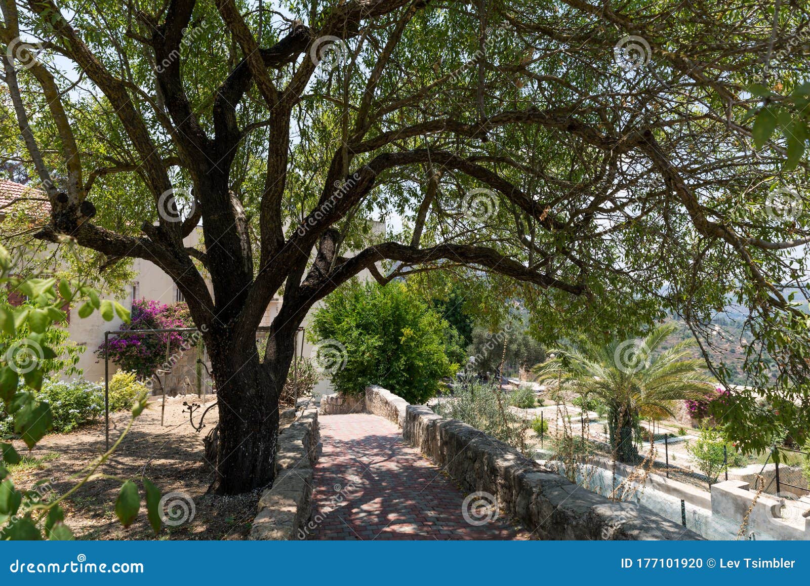 Visiting Ein Kerem in Jerusalem Stock Photo - Image of visit ...