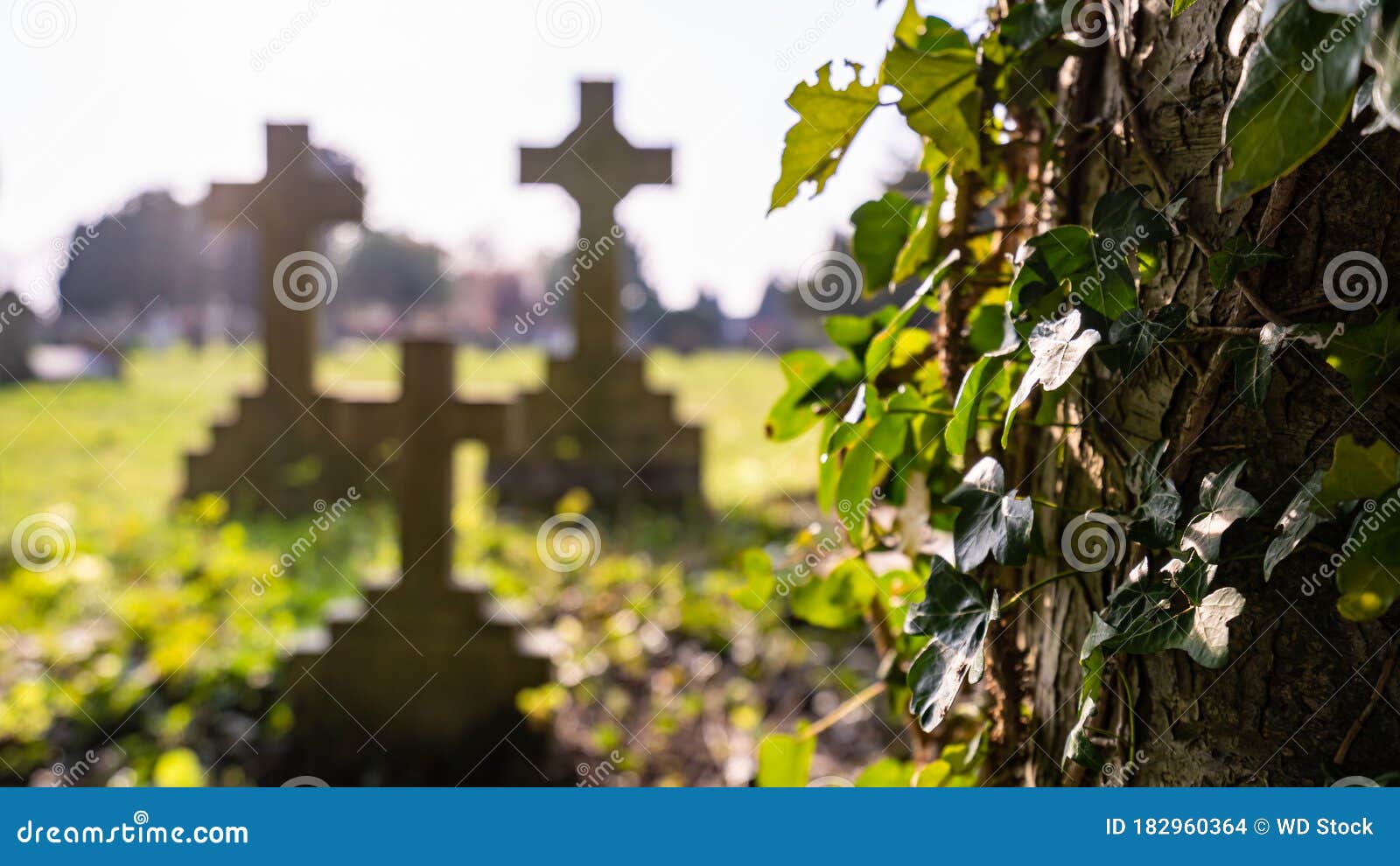 Visiting Graves in a Graveyard with Three Graves Sh Stock Photo - Image ...