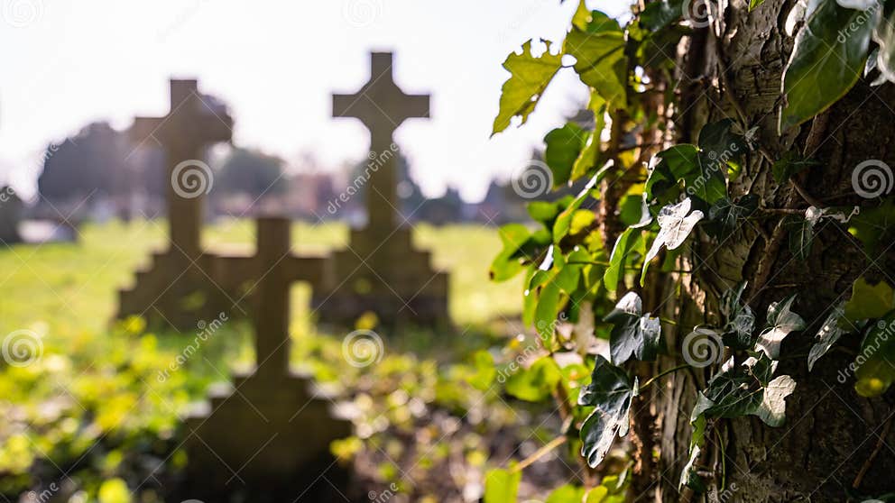 Visiting Graves in a Graveyard with Three Graves Sh Stock Photo - Image ...