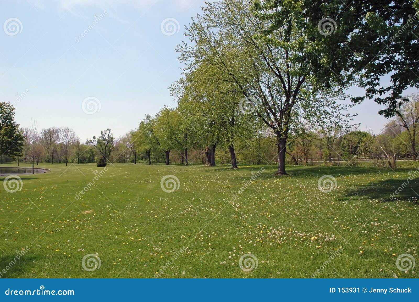 Visiting the park stock image. Image of field, park, lake - 153931