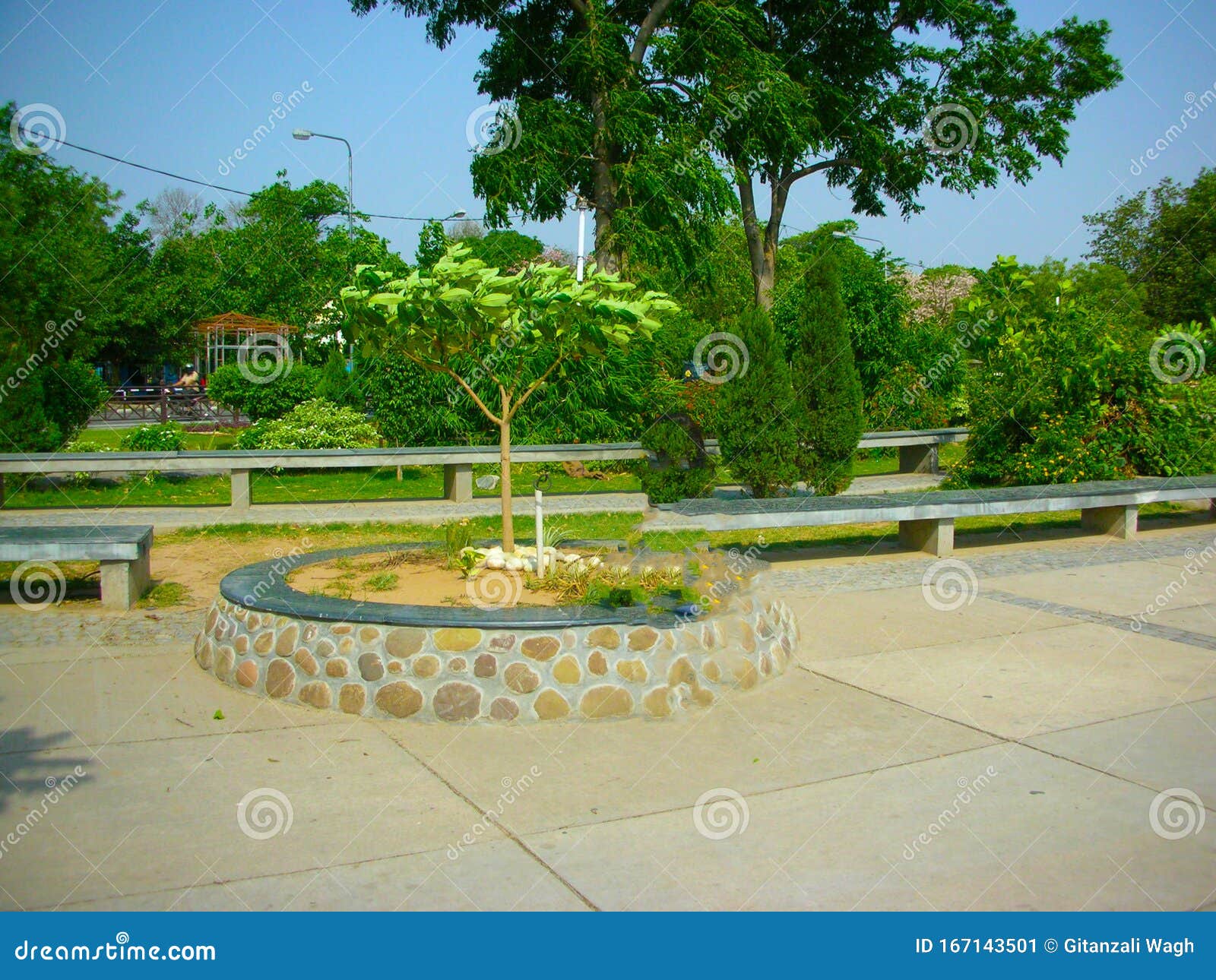 Visiting a Park during the Day Stock Image - Image of outdoor, vacation ...