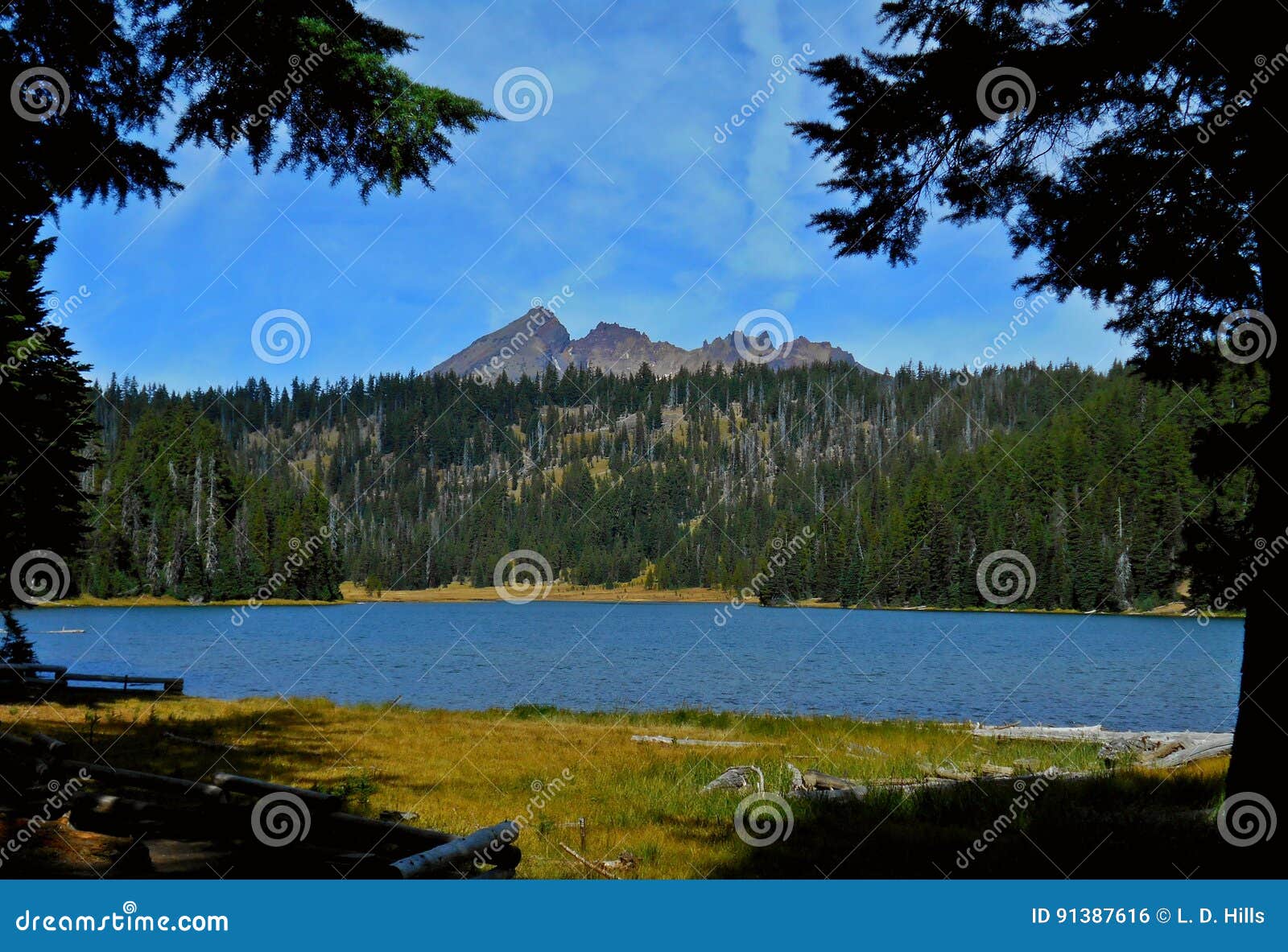 Visiting Todd stock photo. Image of cascade, bend, oregon - 91387616