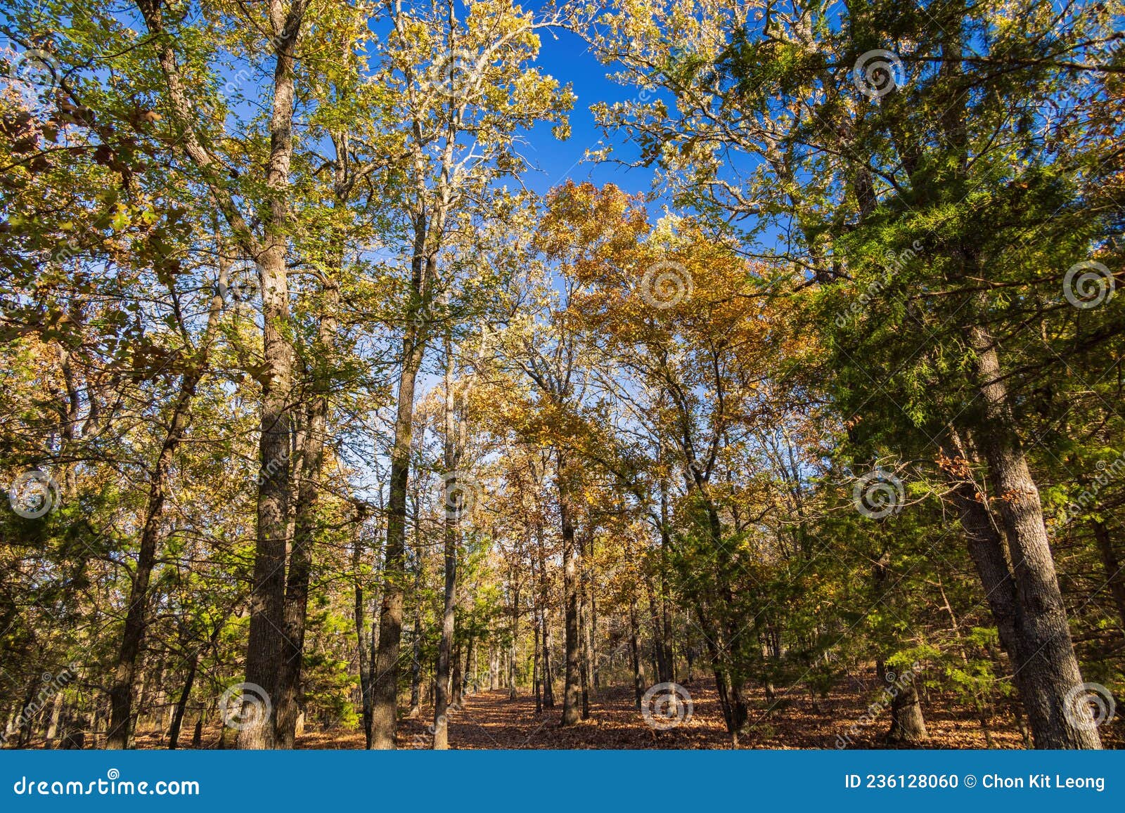Visitor Center of Greenleaf State Park Stock Photo - Image of 2021 ...