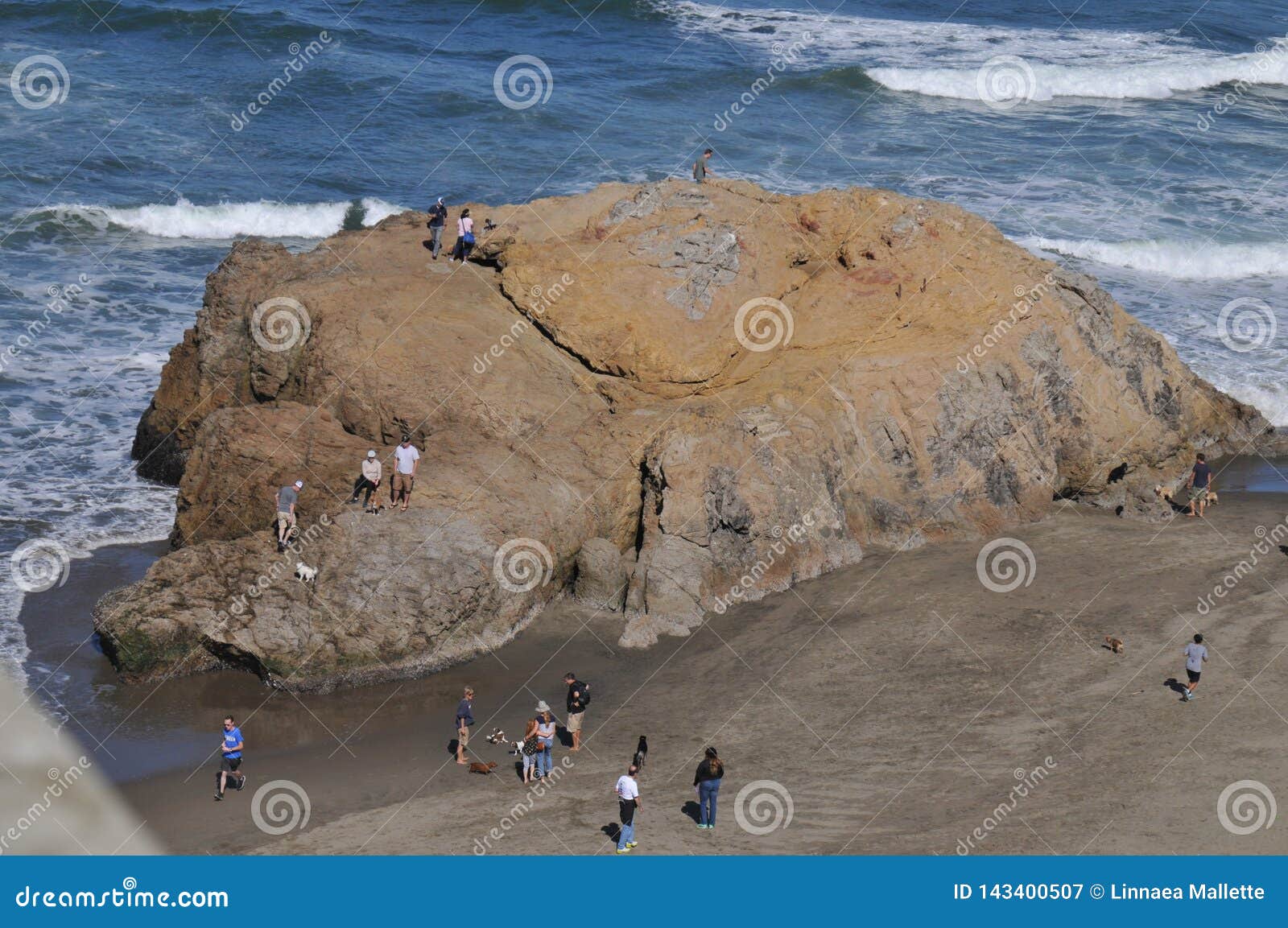 Visitors Climb Huge Rock at the Sutro Park in San Francisco Editorial ...