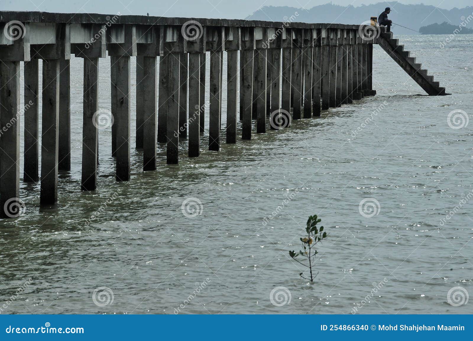 People And Objects Stock Photography | CartoonDealer.com #254866340