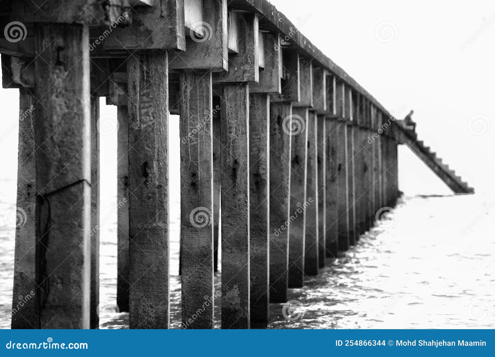 People and objects stock photo. Image of visitors, place - 254866344