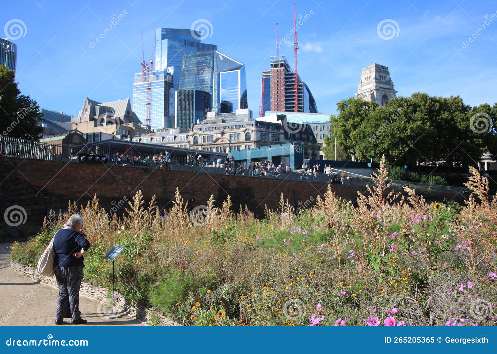 Visitors Superbloom, Paths Around Floral Display Stock Image - Image of ...