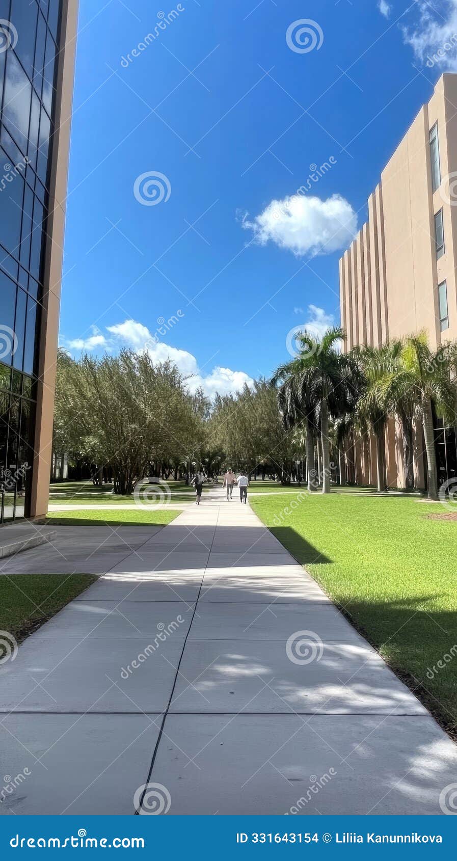 Visitors Walk Along the Paths among Palm Trees in Front a Clear Blue ...