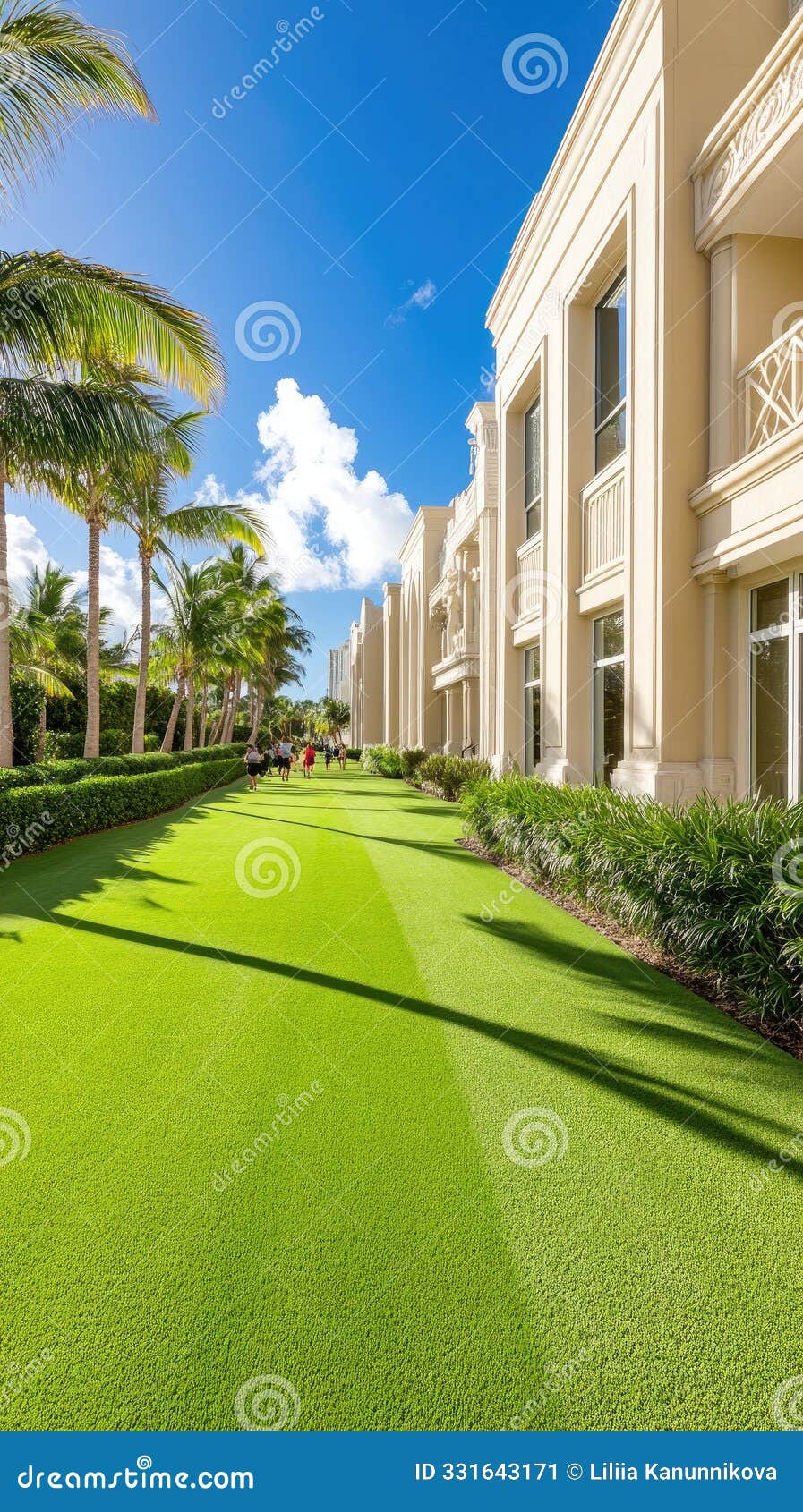 Visitors Walk Along the Paths among Palm Trees in Front a Clear Blue ...
