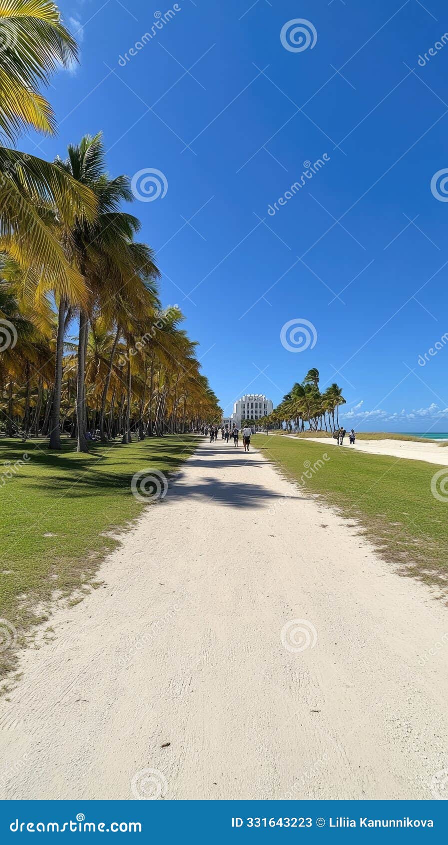 Visitors Walk Along the Paths among Palm Trees in Front a Clear Blue ...