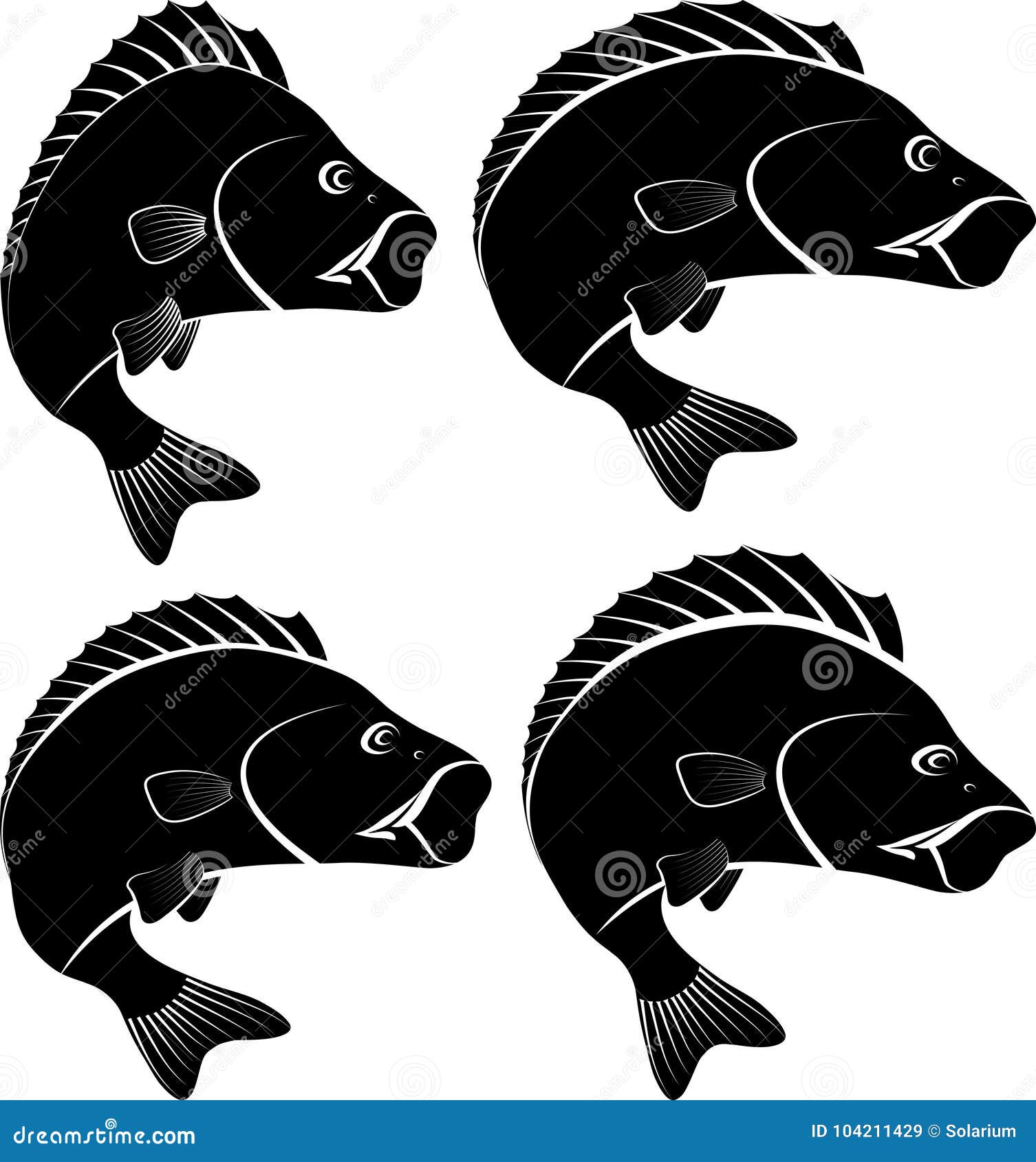 Vissen vector illustratie. Illustration of contour, lijn - 104211429