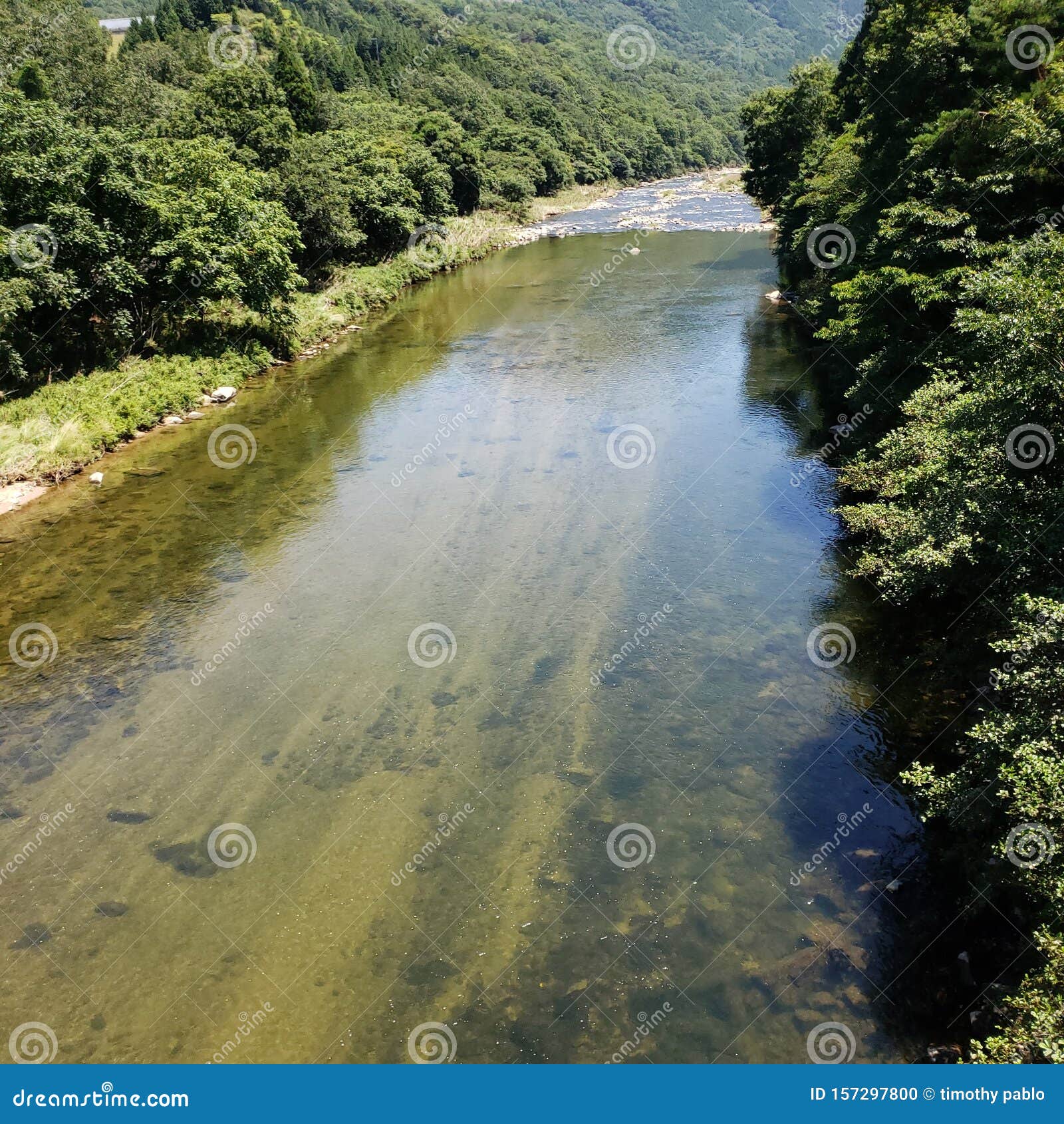 Vista Cristalina Do Leito Do Rio Foto de Stock - Imagem de cama, vista ...