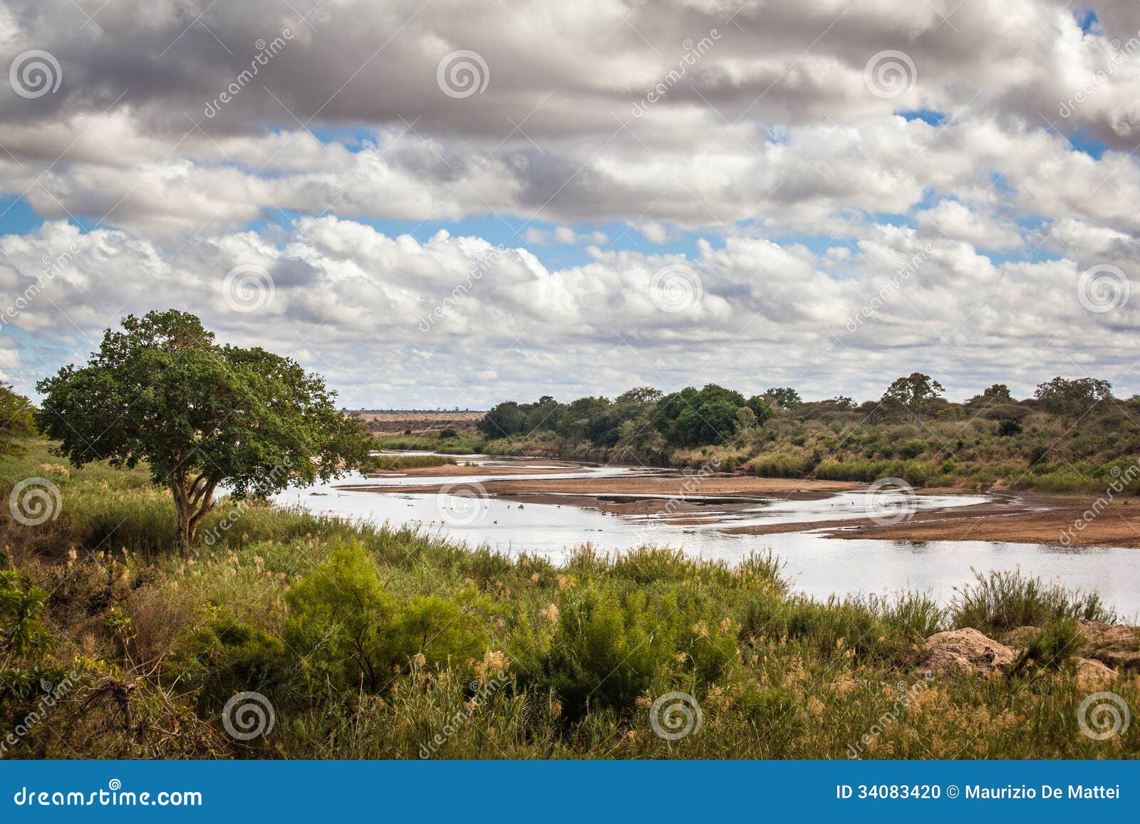 Vista De La Sabana Africana Foto de archivo - Imagen de acacia ...