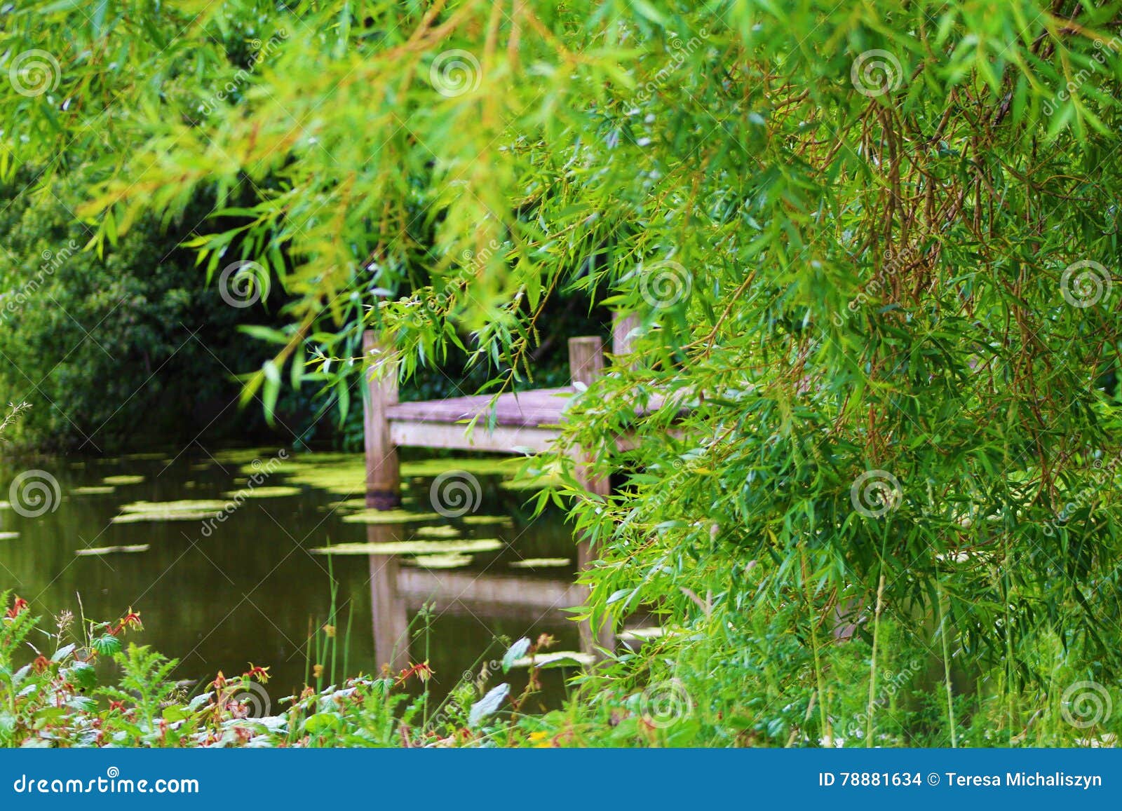 Vista dello stagno fotografia stock. Immagine di stagno - 78881634