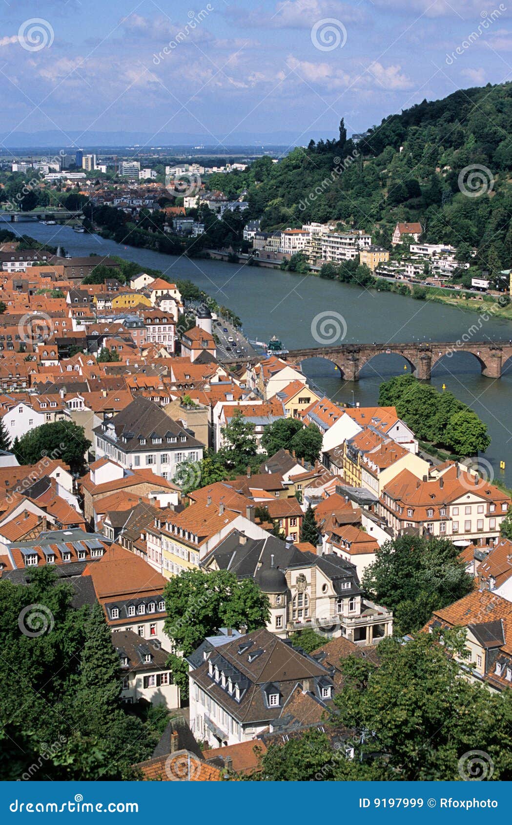 Vista Do Rio Neckar E Da Cidade De Heidelberg Imagem de Stock - Imagem ...