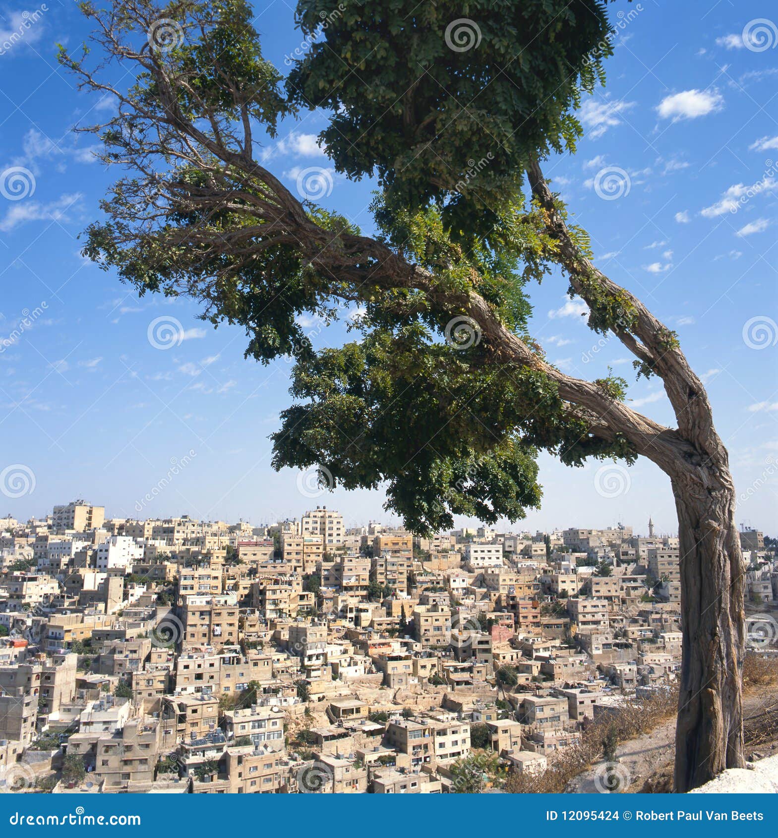 Vista em Amman foto de stock. Imagem de cidade, vista - 12095424