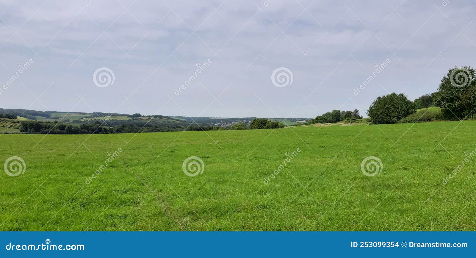 Vista larga sobre el pasto foto de archivo. Imagen de agricultura ...