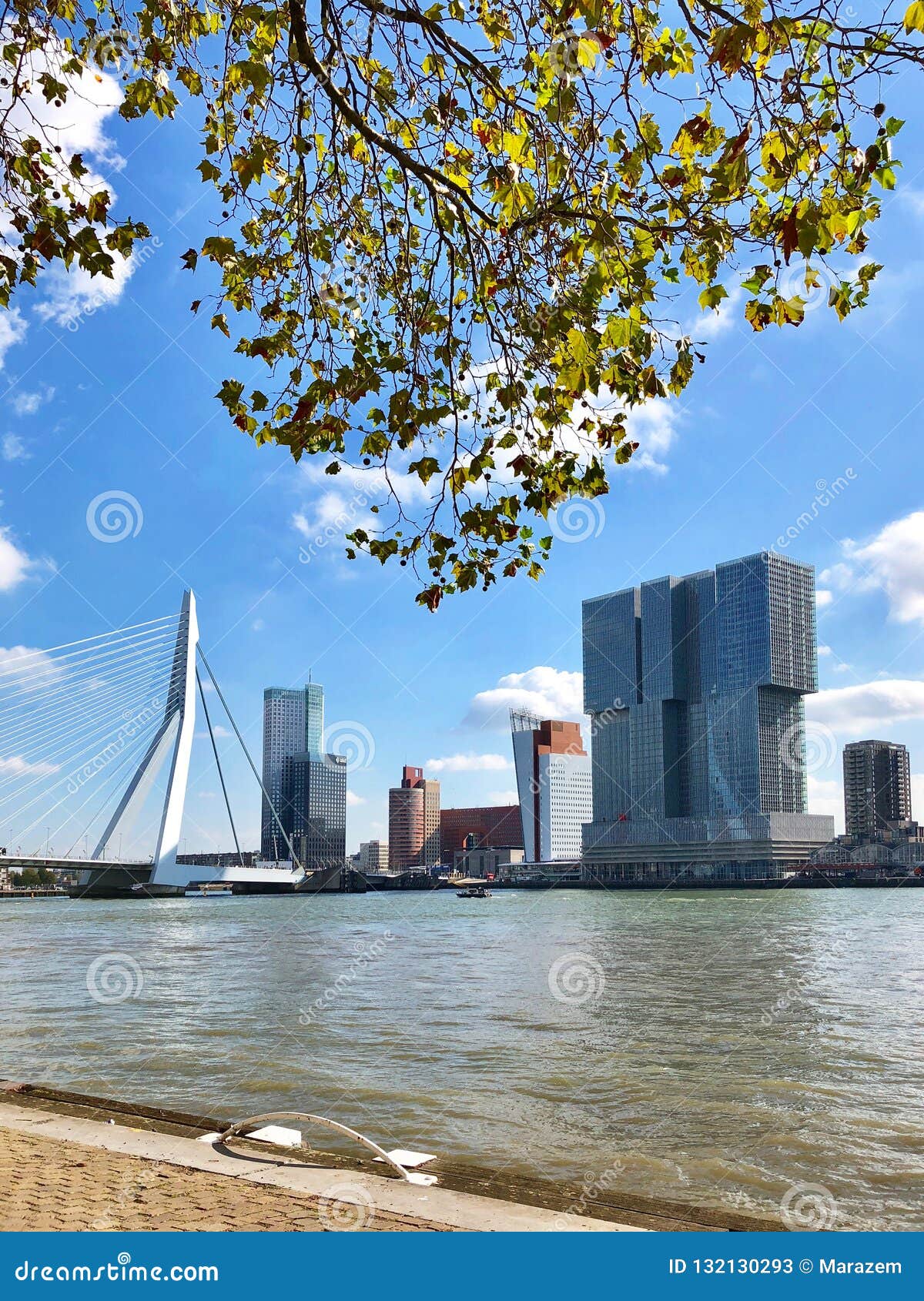 Vista Panorámica De Rotterdam Foto de archivo editorial - Imagen de ...