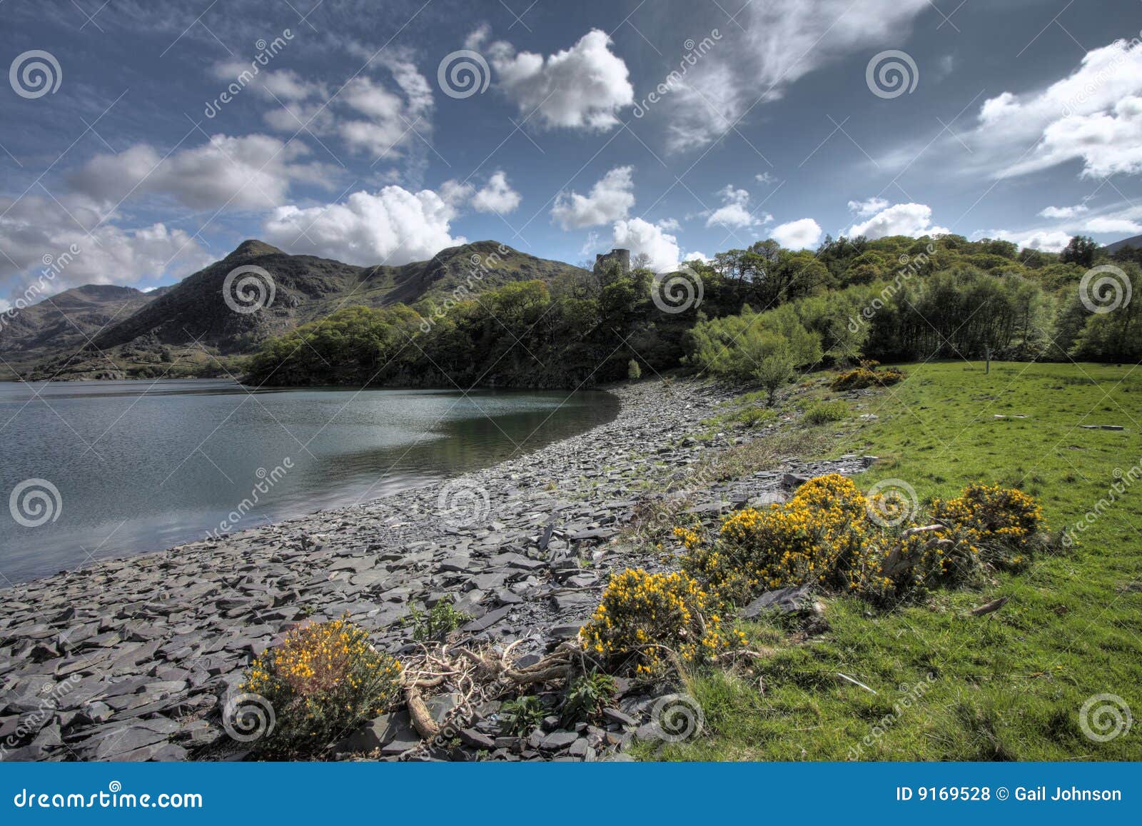 Vista Para Fortificar Dolbadarn Foto de Stock - Imagem de grande ...