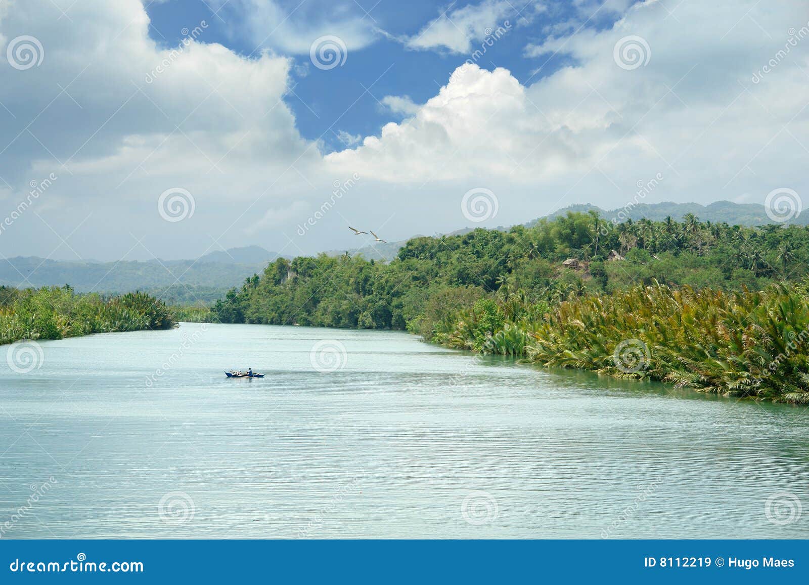 Vista of Wide Tropical Stream Stock Image - Image of panorama, leisure ...