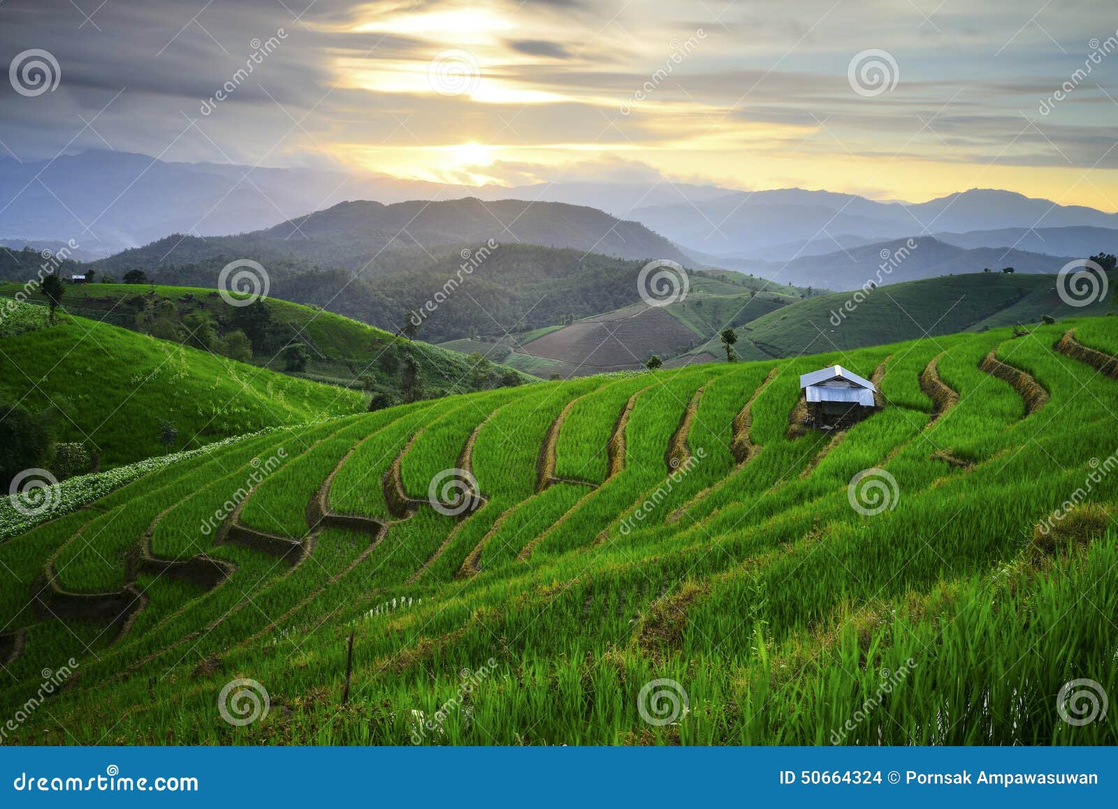 Visual arts rice terraces stock photo. Image of asia - 50664324