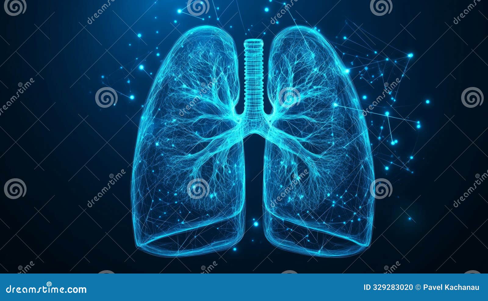 Visual Depiction of Lungs with Intricate Network Showcased Against a ...