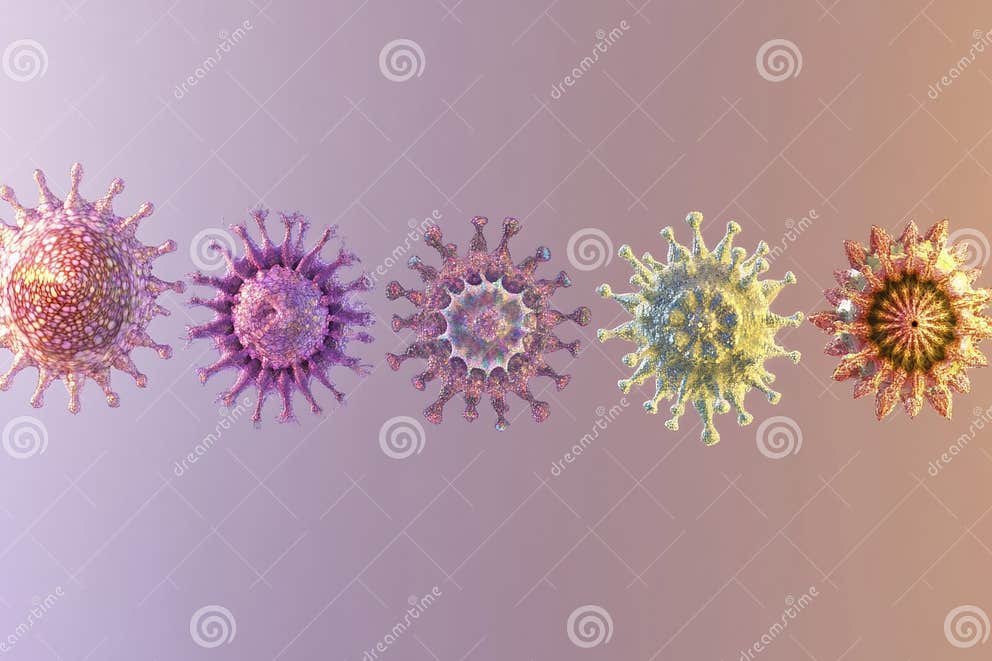 Progression of Viral Structures from Simple To Complex Forms in a ...