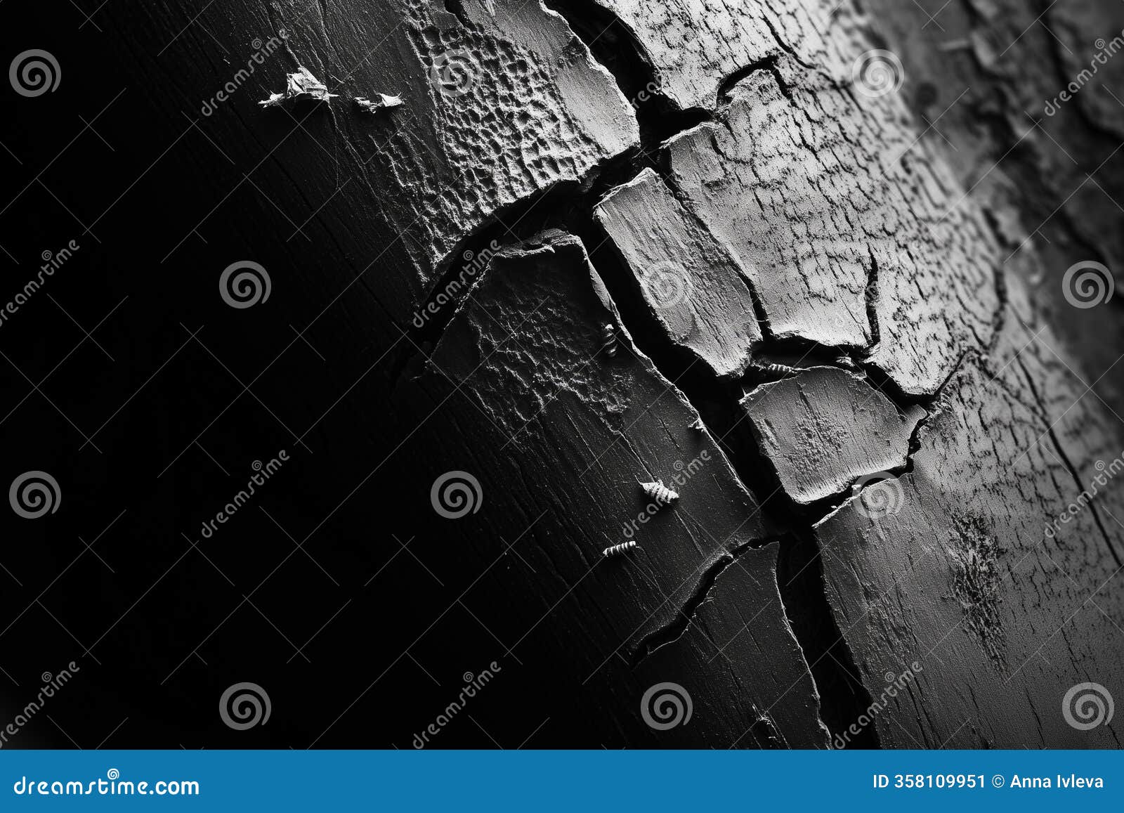 Visual Documentation of Extensive Termite Damage on Wood in a Dark ...