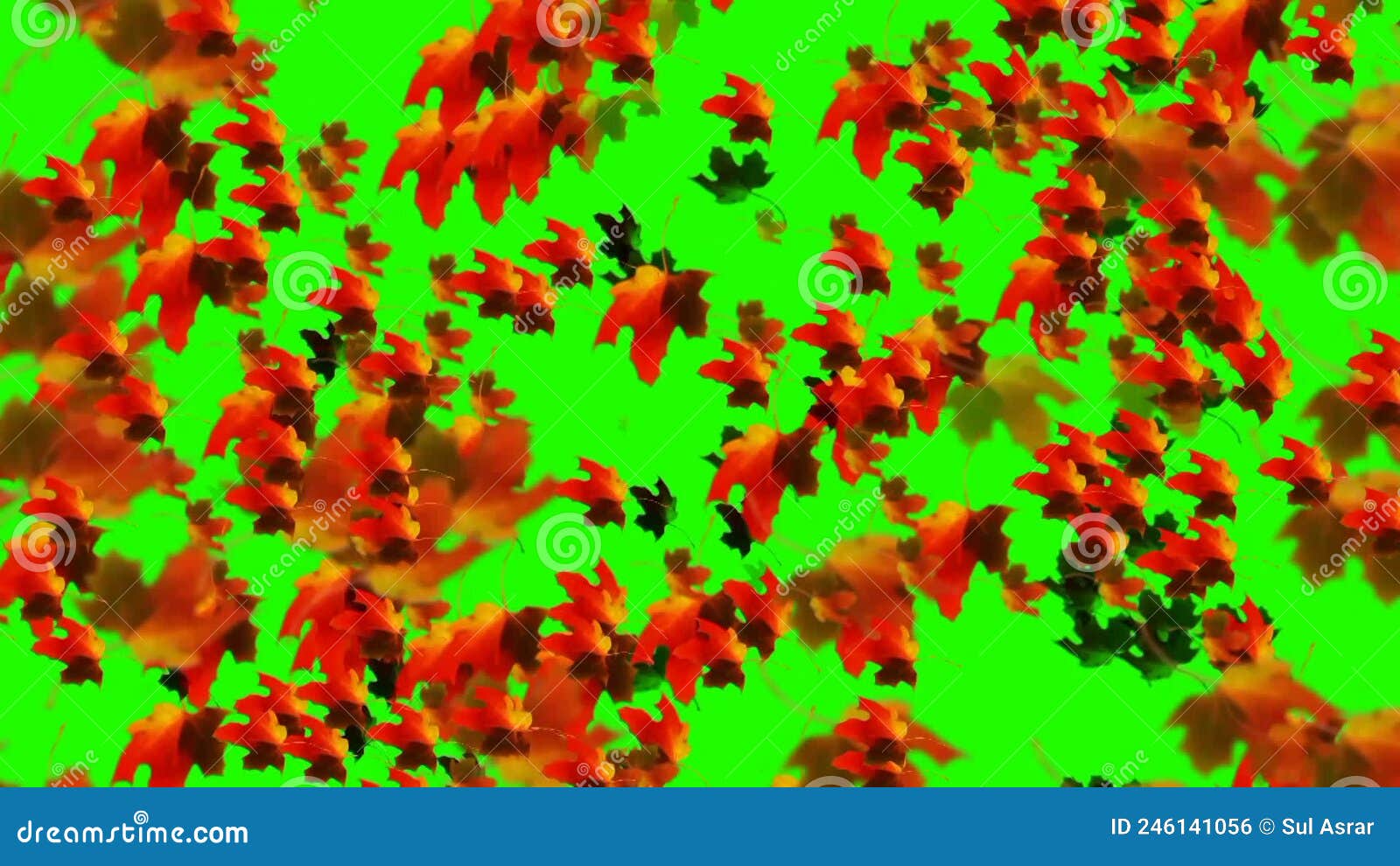 Visual Effect Falling Autumn Leaves Very Much on Green Screen ...
