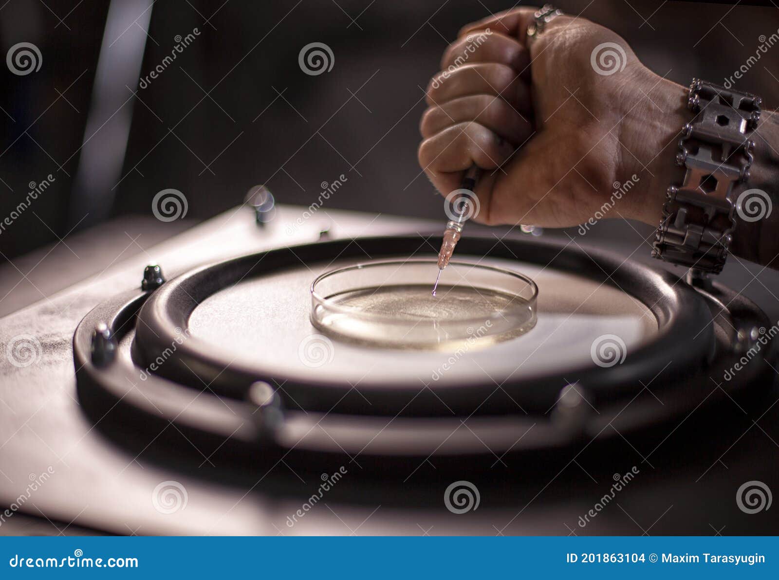 Visual Experiments in Physics and Chemistry from the School Curriculum ...