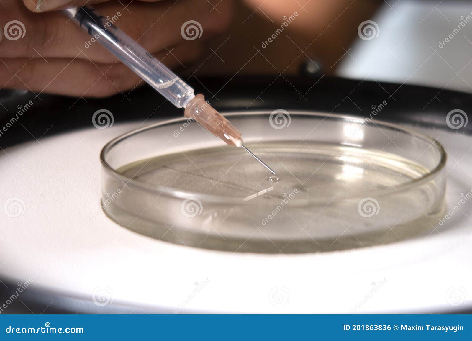 Visual Experiments in Physics and Chemistry from the School Curriculum ...