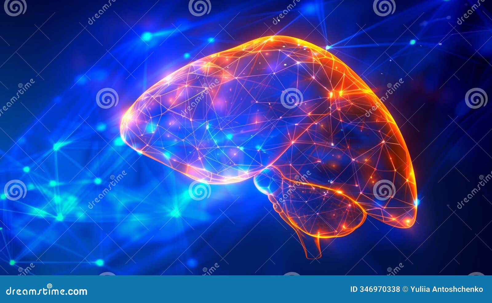 A Visual of the Human Liver, Showcasing Its Intricate Design and Vital ...