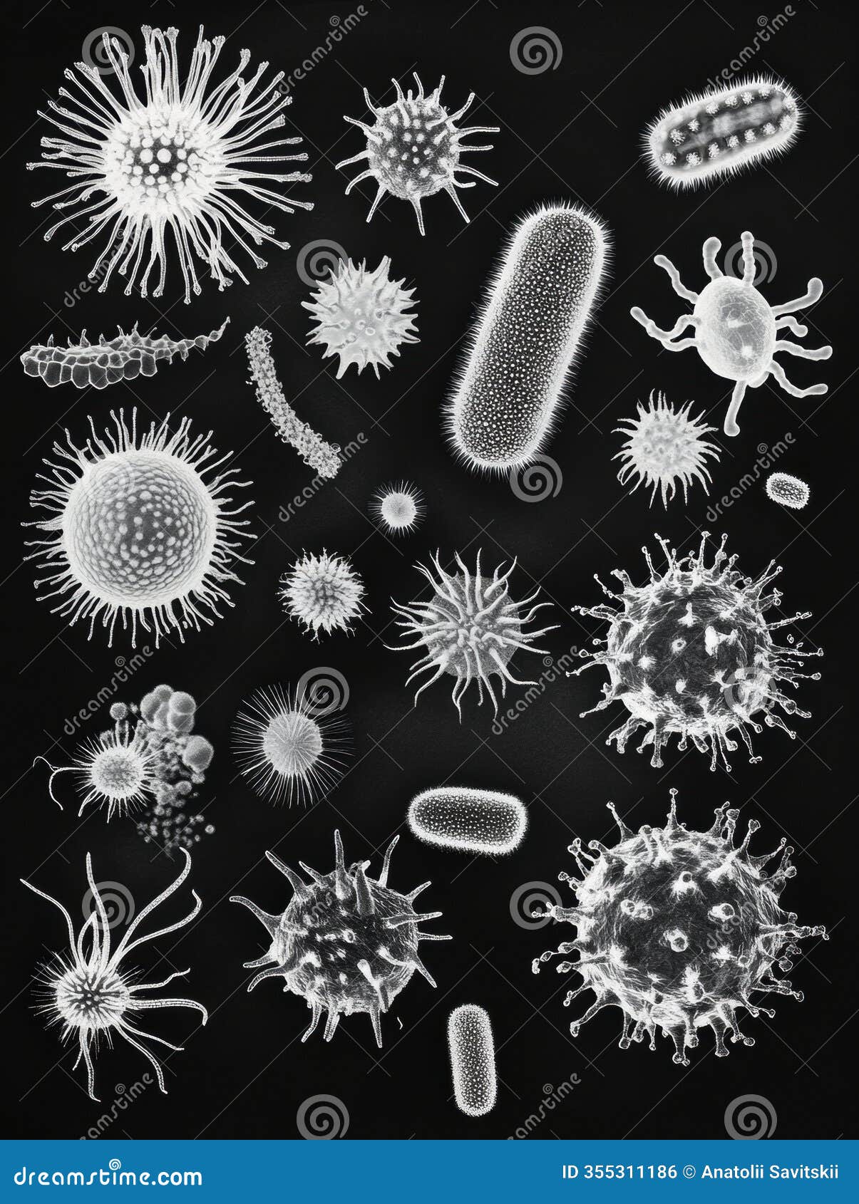 Evolving Bacteria Showcasing Diverse Forms Under Microscopic ...
