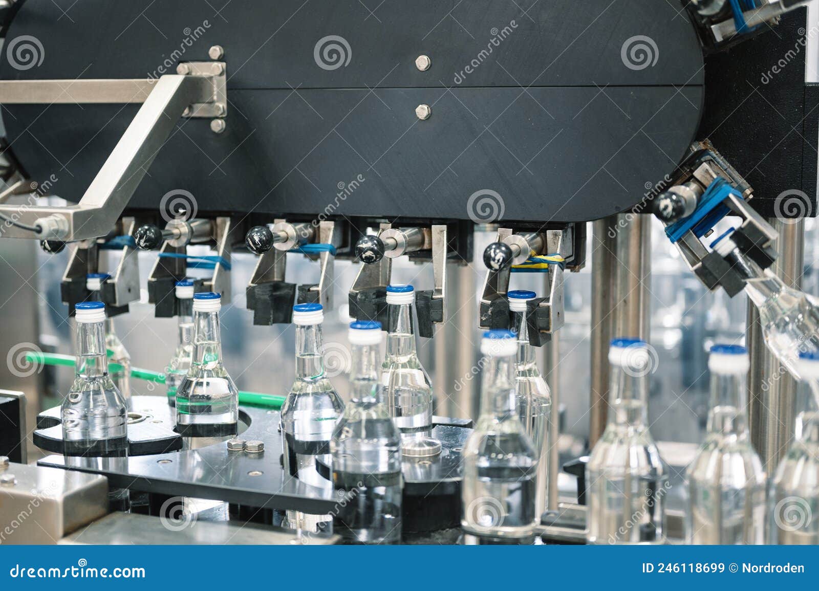 Visual Inspection of Bottles with Vodka Stock Image - Image of plant ...