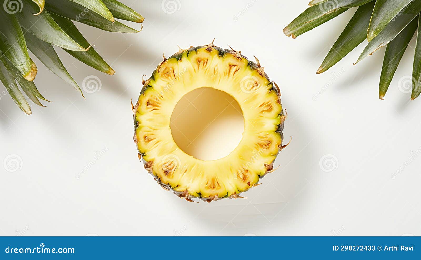A Visual of a Perfectly Cut Pineapple Ring Stock Illustration ...