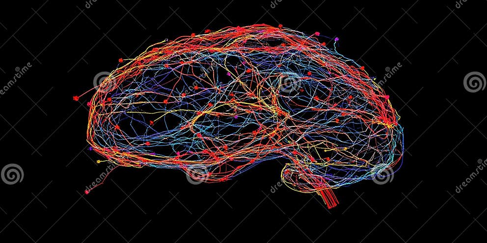 Visual Representation of a Complex Brain Network Stock Illustration ...