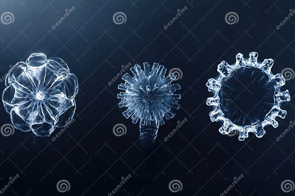 Progression of Virus Forms Showcasing Evolution from Basic Structure To ...