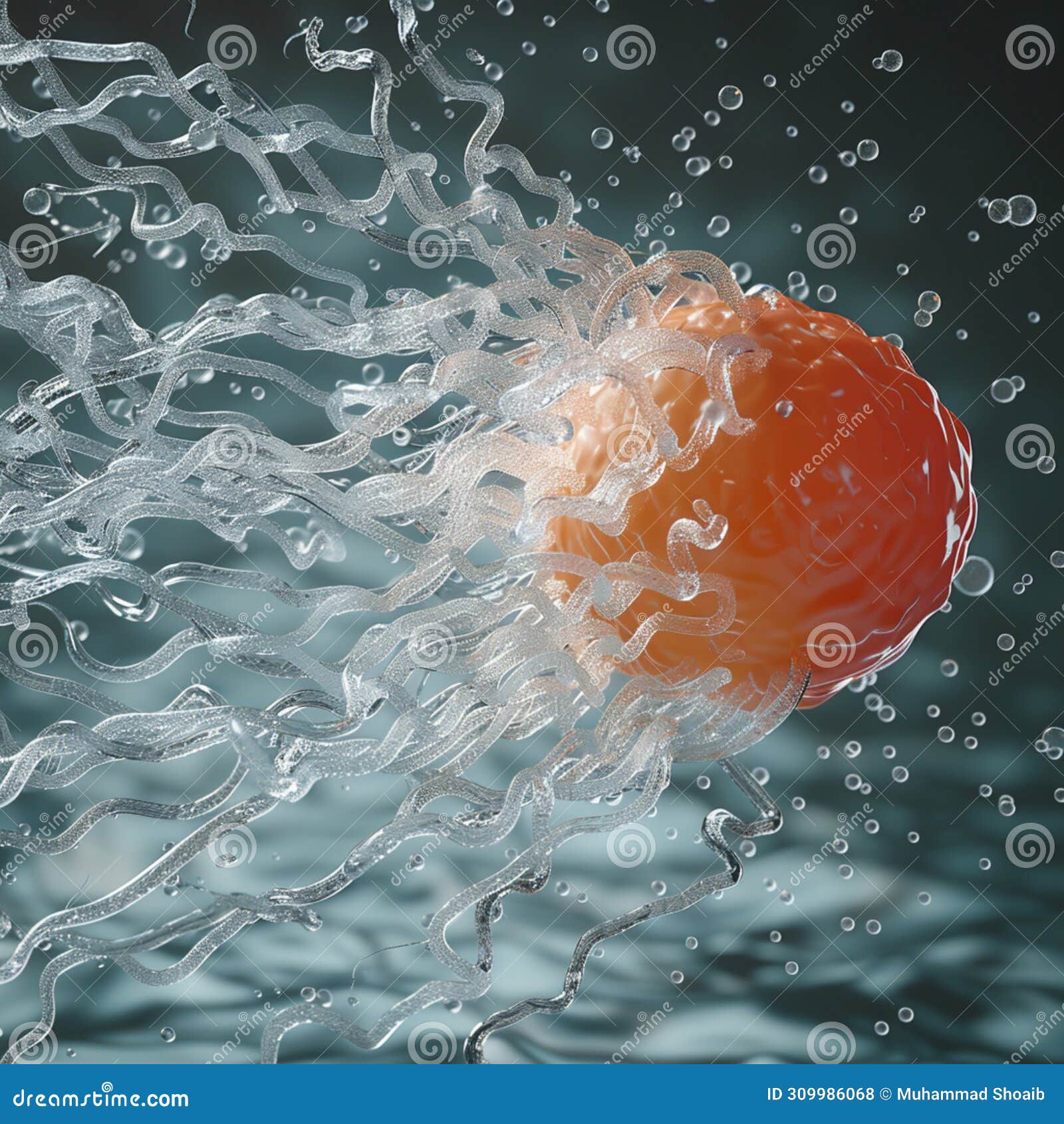 Visual Representation Egg and Sperm Unite in Human Reproduction Process ...