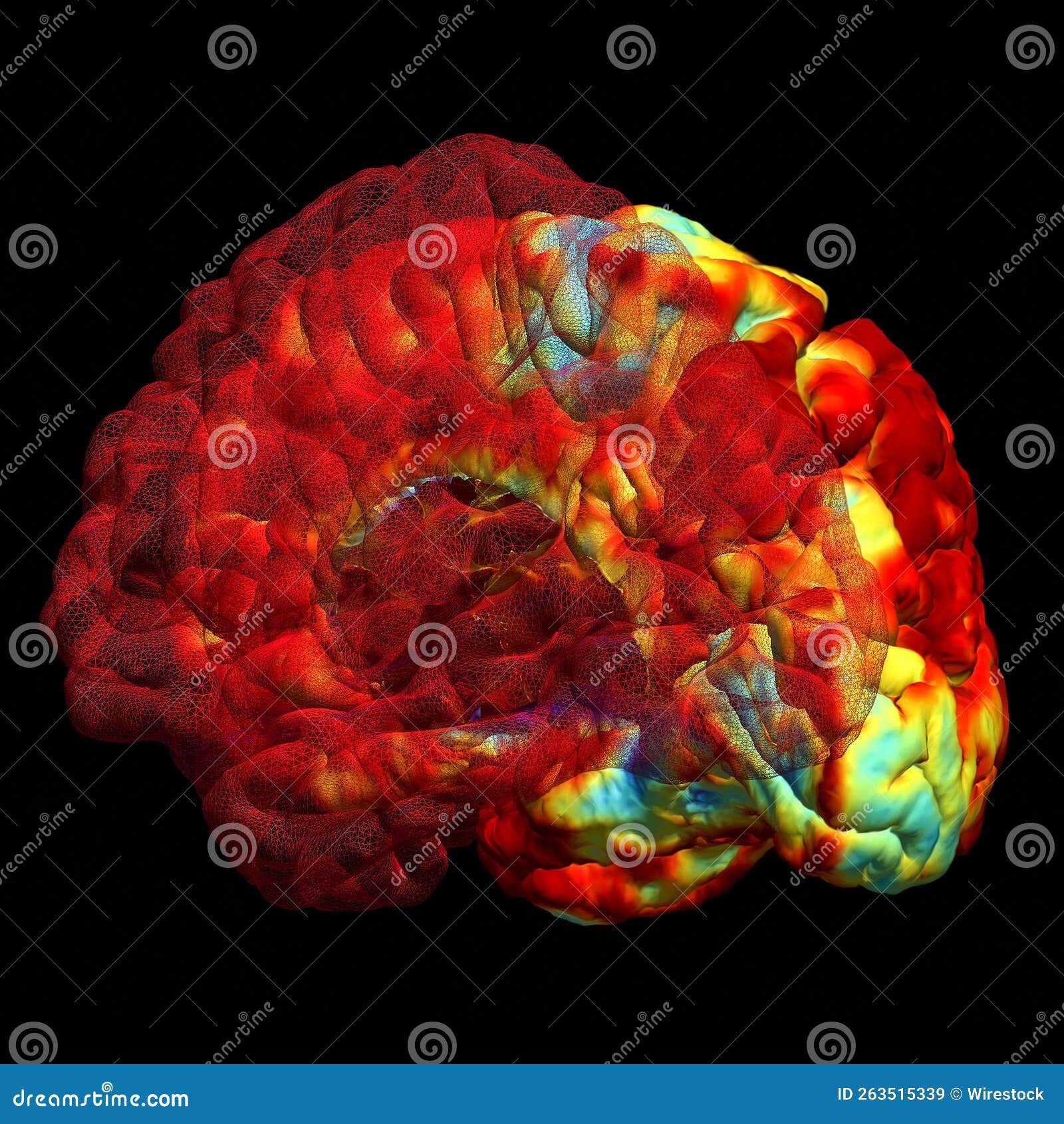 Visual Representation Of A Human Brain And Its Neural Network Stock ... Visual Representation Of A Human Brain And Its Neural Network Stock ...