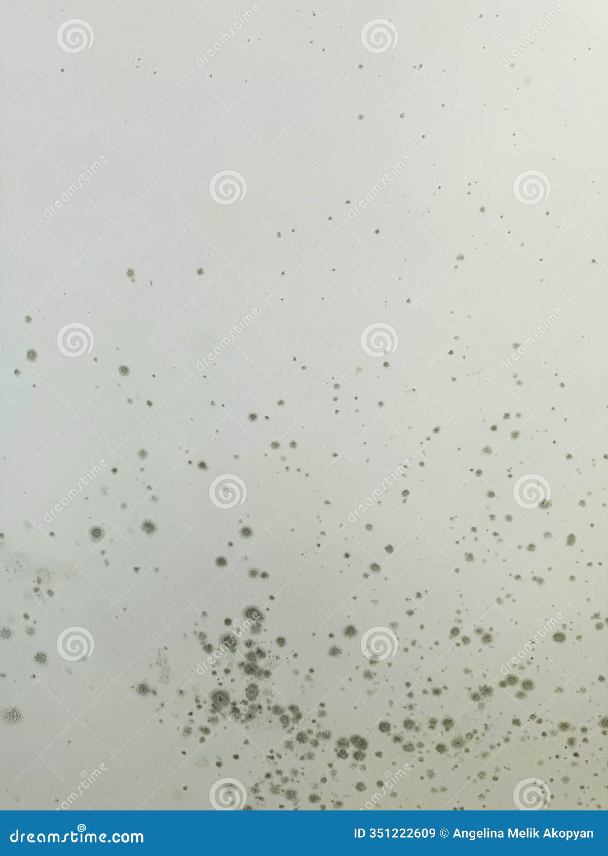 Visual Representation of Mold Growth on a Surface in a Damp Environment ...