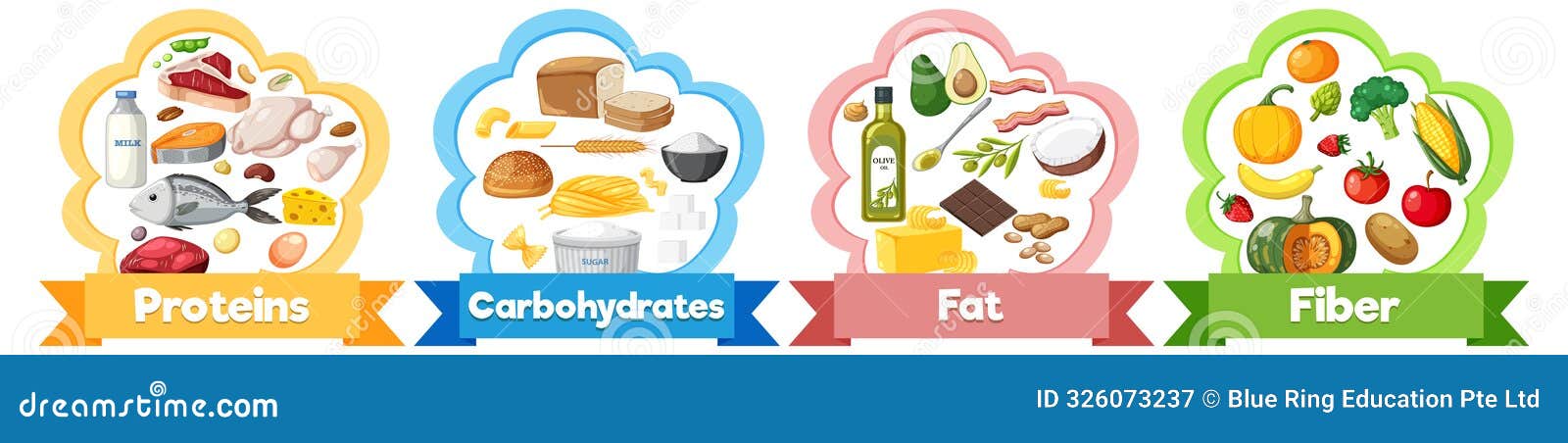 Visual Representation Of Proteins Cartoon Vector | CartoonDealer.com ...