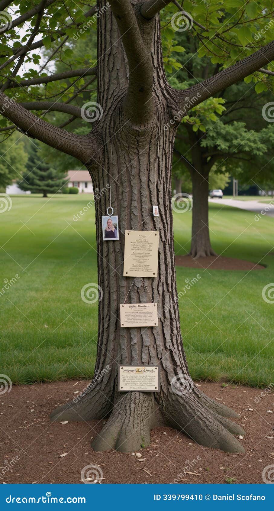 A Visual Representation Showcasing a Multigenerational Family Lineage ...