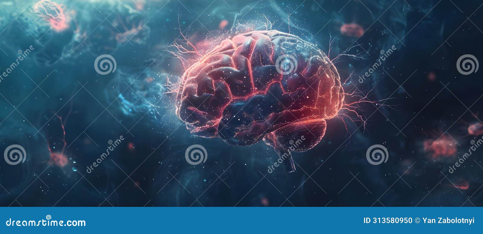 Visual Representation of Traumatic Brain Injury Terms on Human Cortex ...