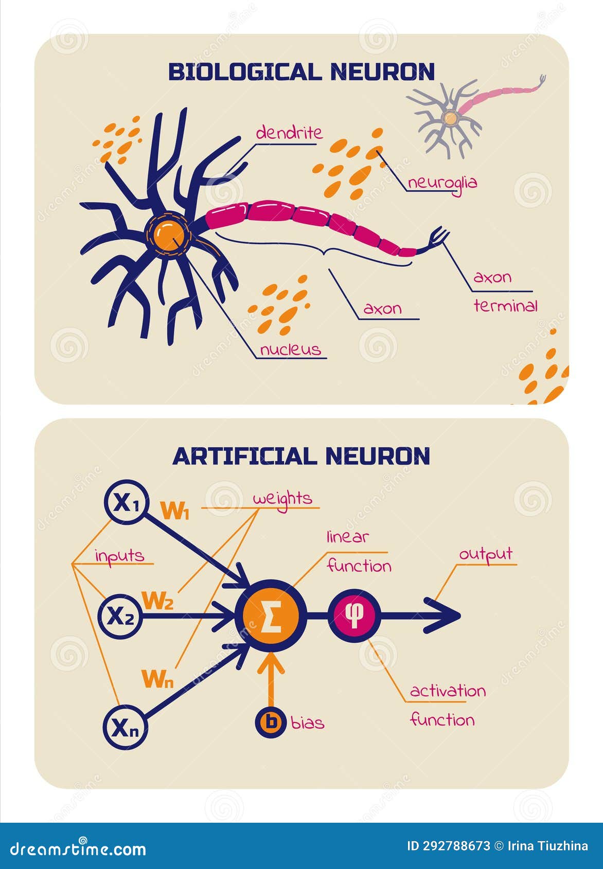 Visual Schemes of Biological and Artificial Neurons. Neural Network ... Visual Schemes of Biological and Artificial Neurons. Neural Network ...