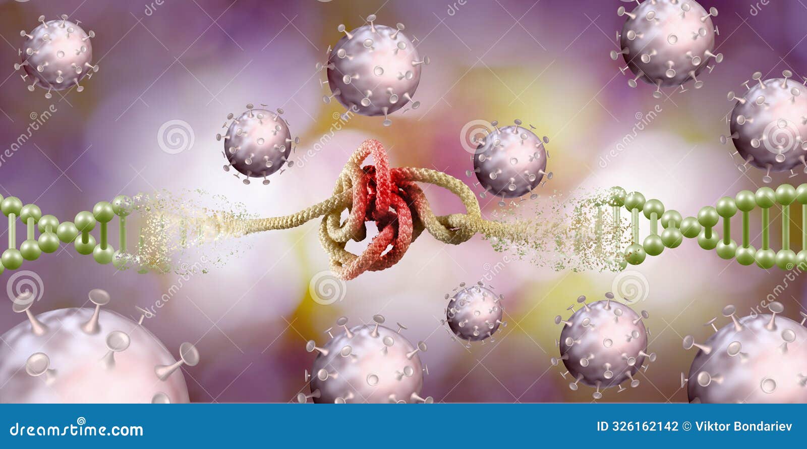 A Twisted Path: the Impact of Viral Infection on DNA Replication Stock ...