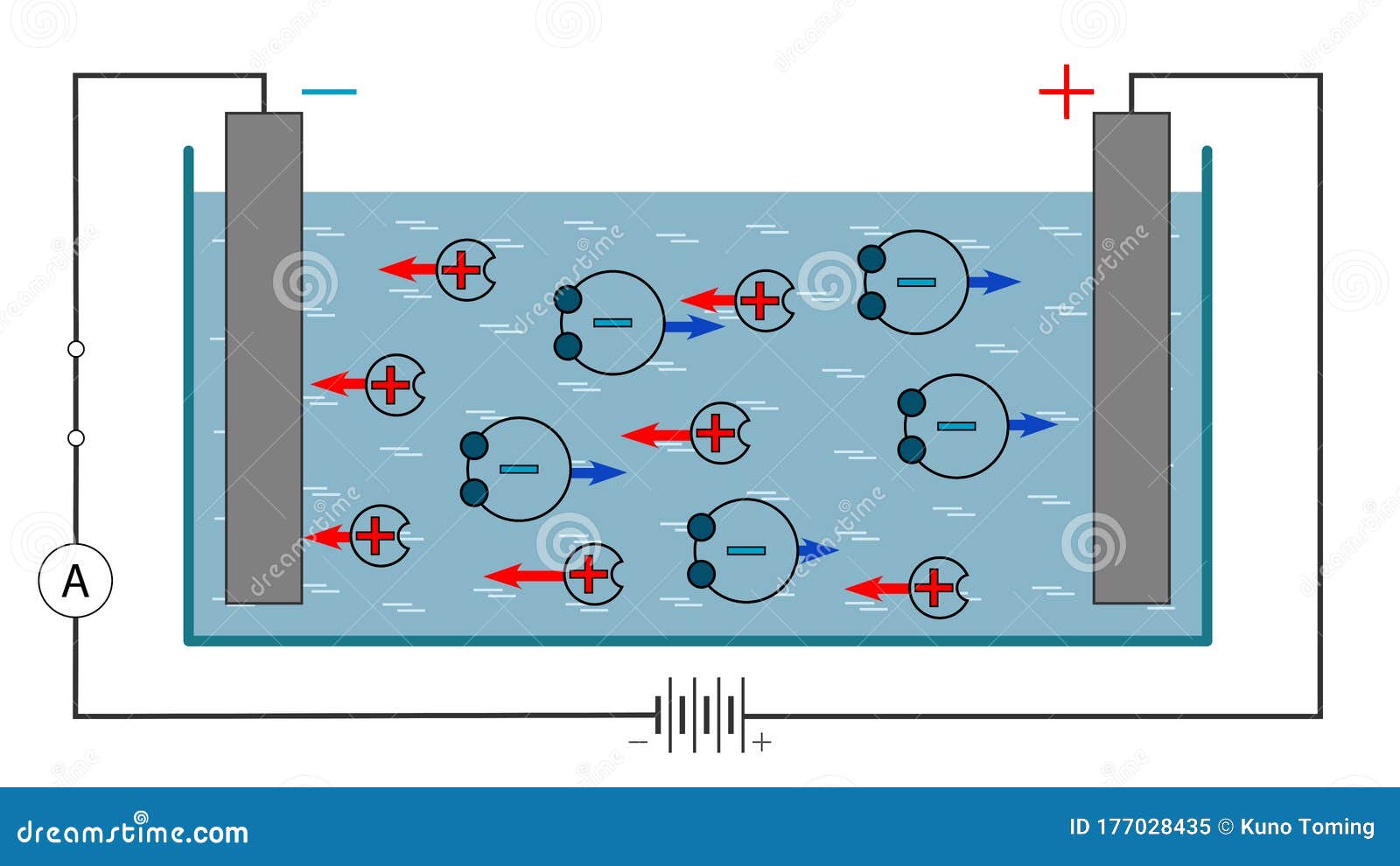 Visual Vector Illustration Demonstrates the Concept of Electrolysis in ...