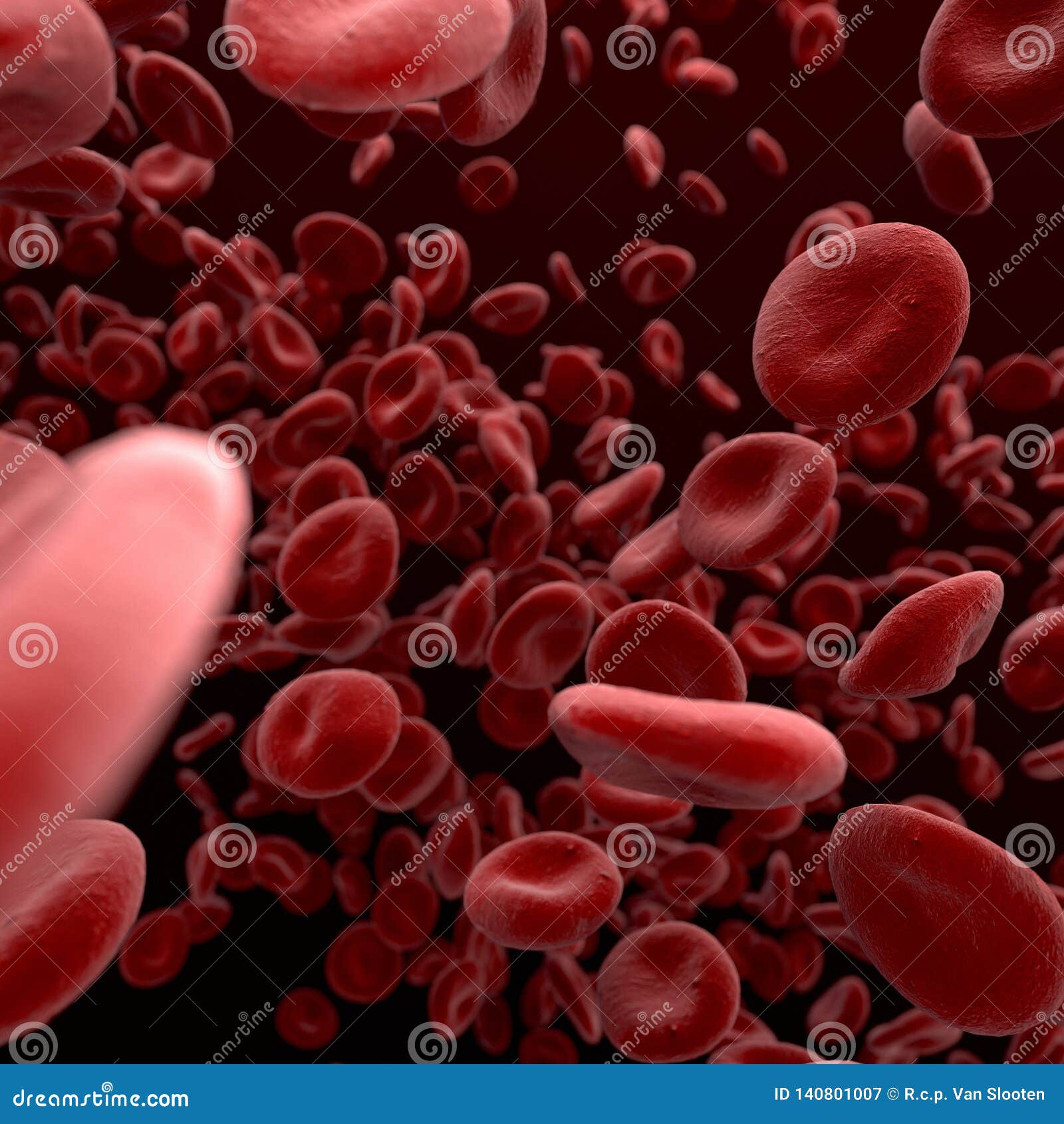 Visualisation Microscopique De Globules Rouges Illustration Stock ...