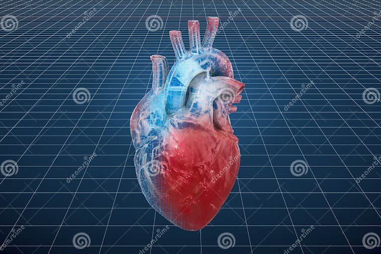 Visualization 3d Cad Model of Human Heart, 3D Rendering Stock ...